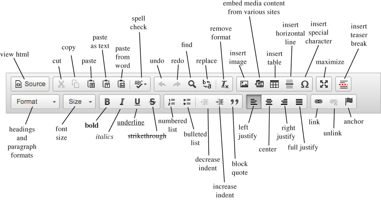 Using the Rich Text Editor | IndieMade